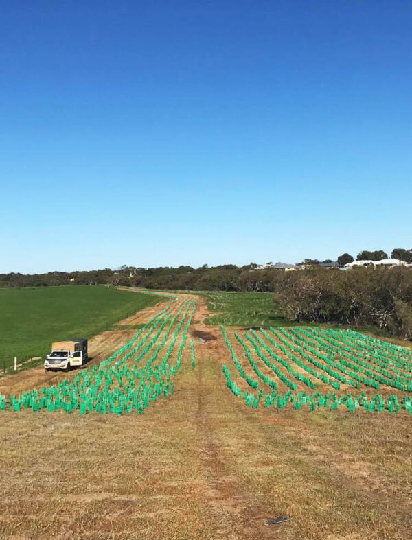 Plantation & Landcare Services - Revegetation, Carbon Farming
