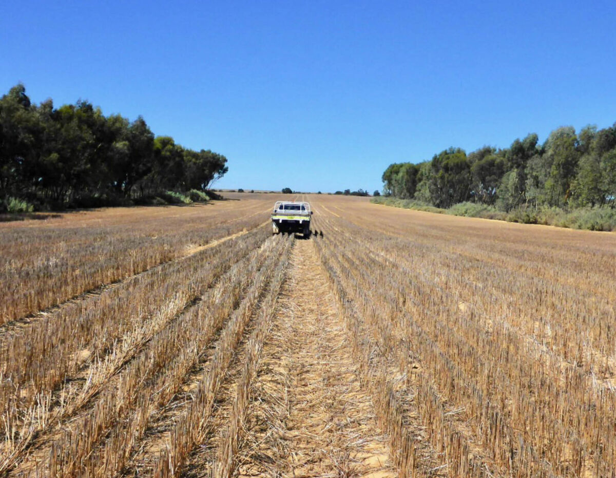 Operations - Plantation and Landcare Services (PALS)