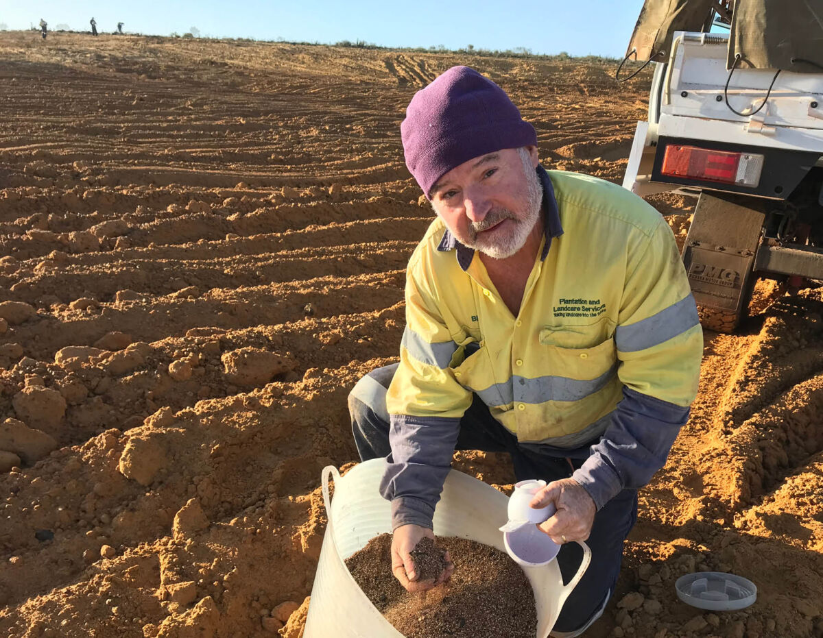 Revegetation - Plantation and Landcare Services (PALS)