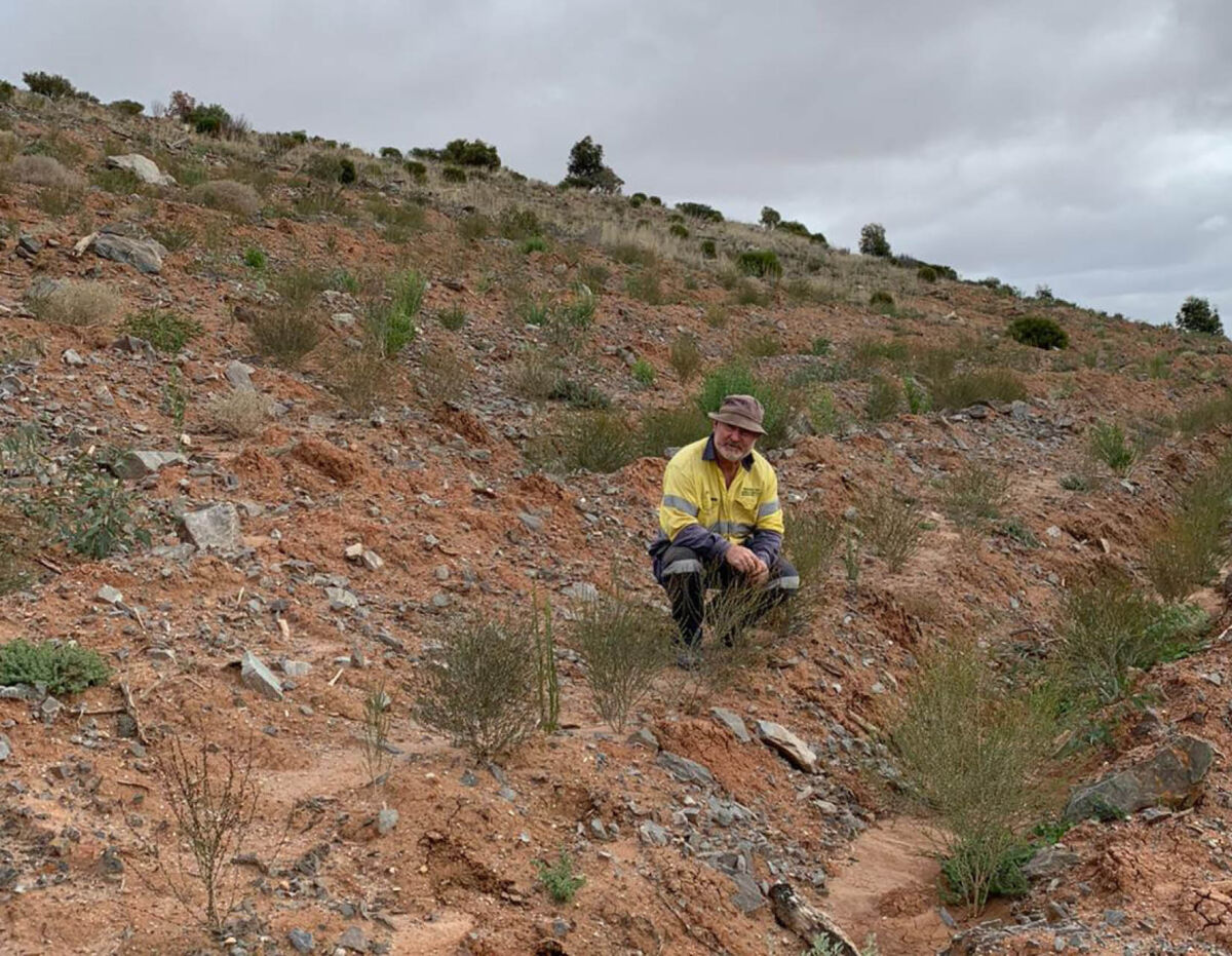 Mine Revegetation - Plantation and Landcare Services (PALS)