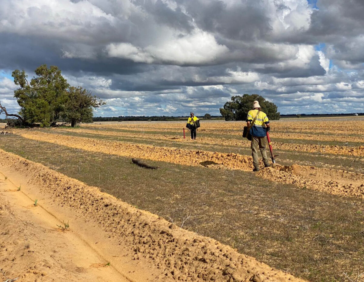 Carbon Farming - Plantation and Landcare Services (PALS)