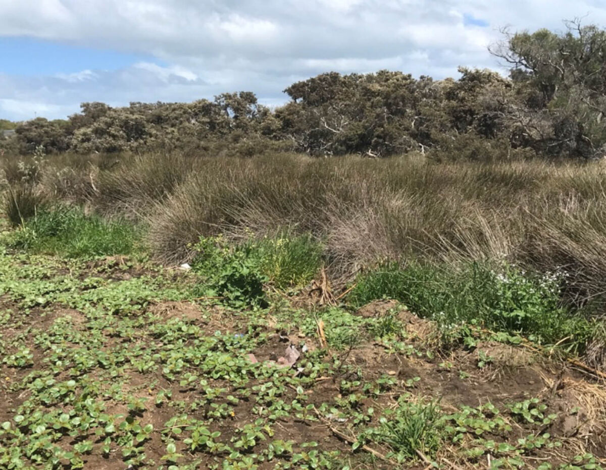 Sub Division & Land Development - Plantation and Landcare Services (PALS)