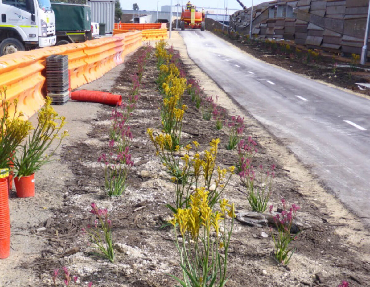 Revegetation - Plantation and Landcare Services (PALS)