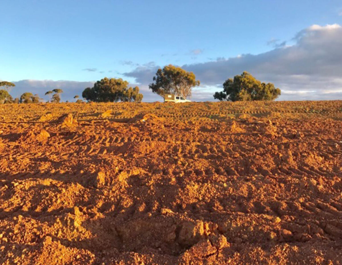 Quarry Revegetation - Plantation and Landcare Services (PALS)