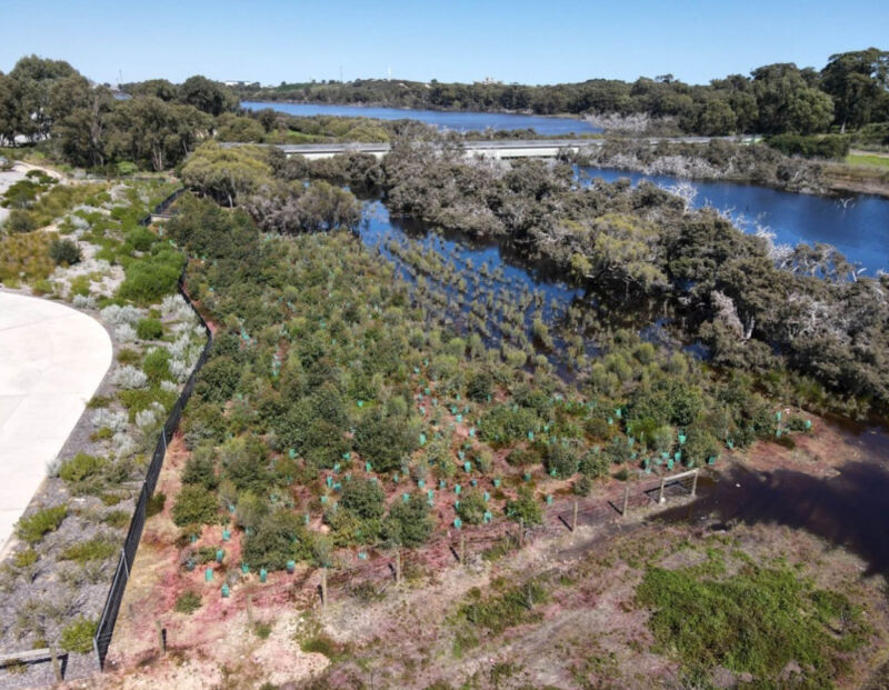 Revegetation - Plantation and Landcare Services (PALS)