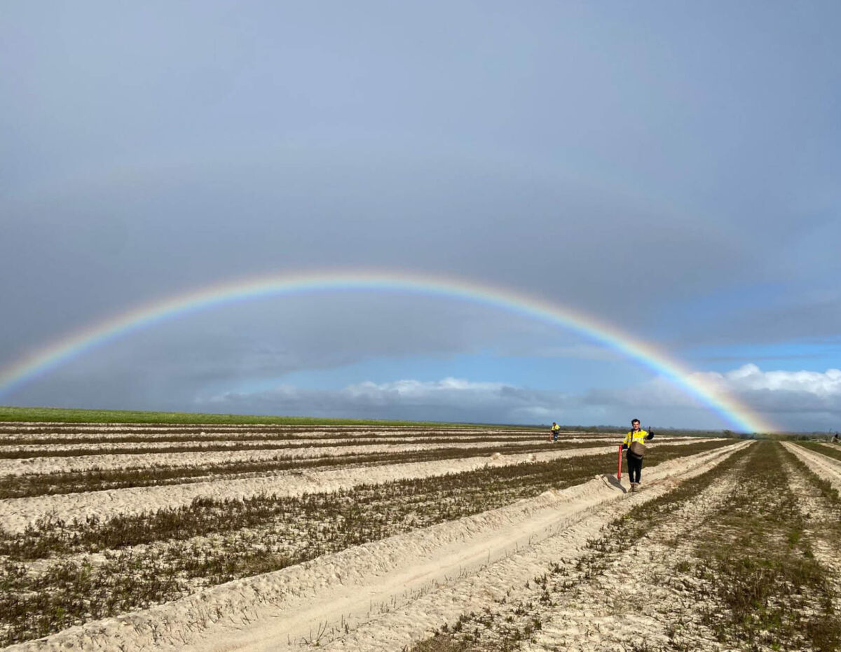 Operations - Plantation and Landcare Services (PALS)